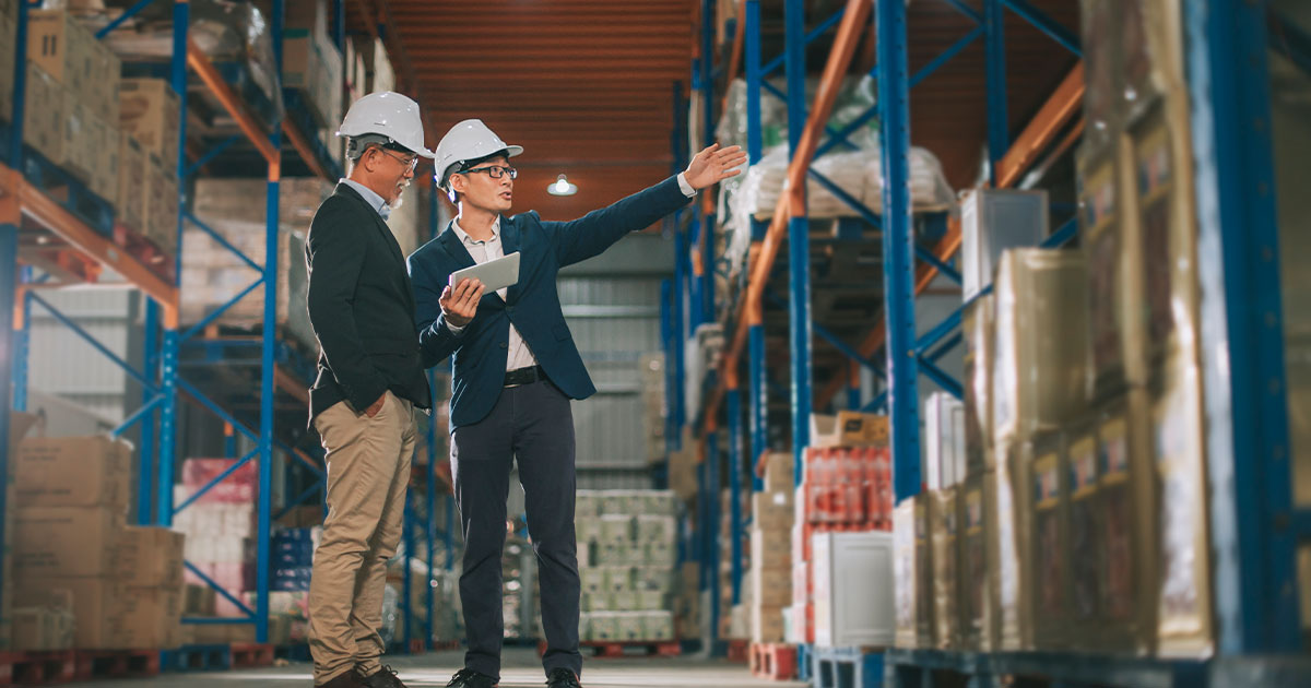 Masters in International Business (Degree & Curriculum Overview)