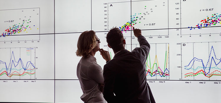 What Is Business Administration? (Career Overview)